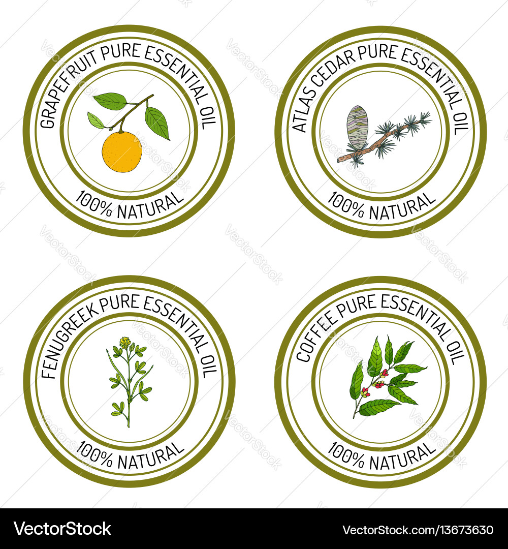 Essential Oil Labels Set Royalty Free Vector Image