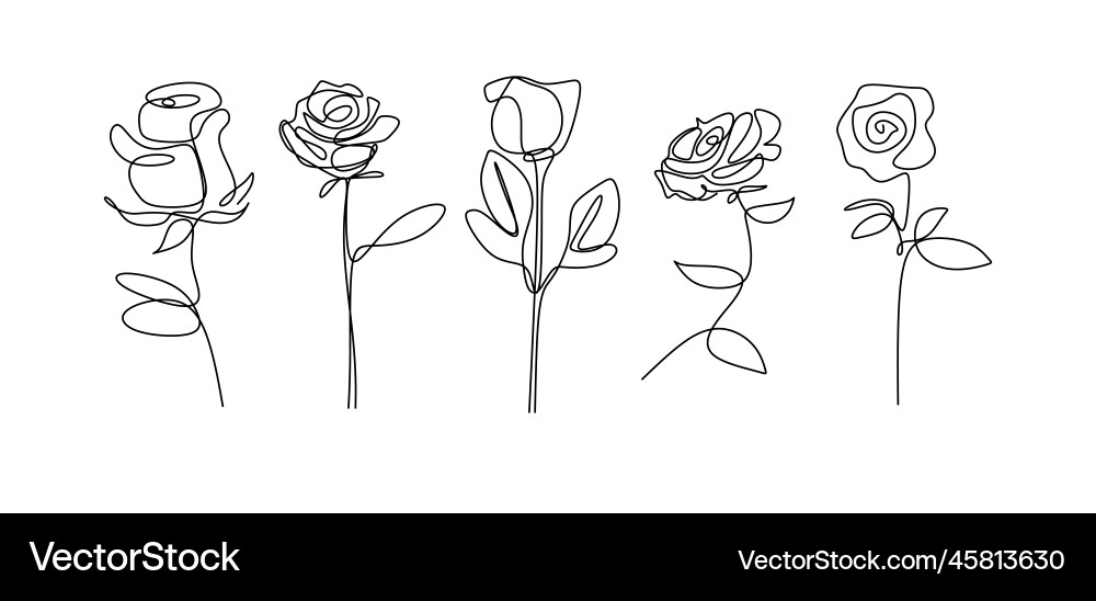 Rose flower continuous line drawing single hand Vector Image