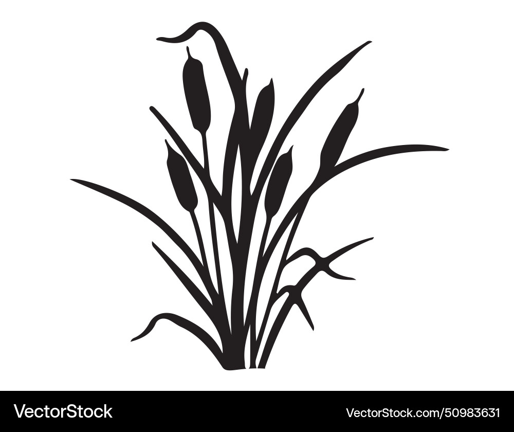 Cattail silhouette art Royalty Free Vector Image