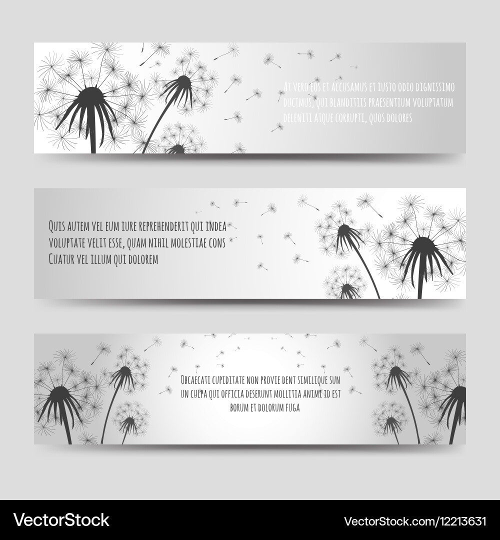 Dandelions and seeds horizontal banners set Vector Image