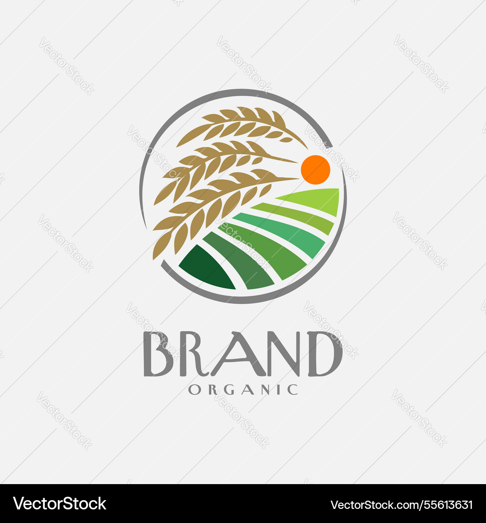 Paddy ricefield irrigation logo design agriculture