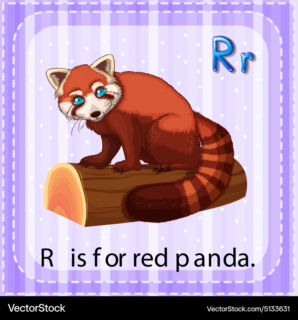Red panda Royalty Free Vector Image - VectorStock