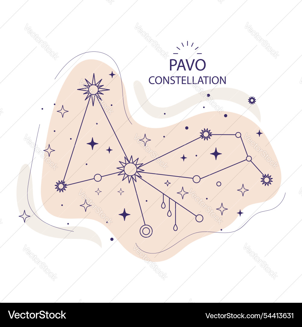 Star constellation pavo Royalty Free Vector Image