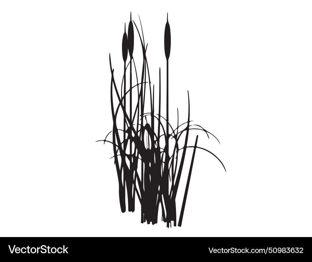 Cattail silhouette art Royalty Free Vector Image
