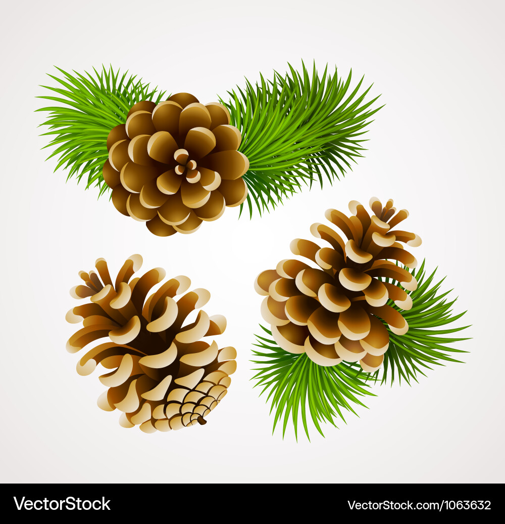 Cones Royalty Free Vector Image - VectorStock
