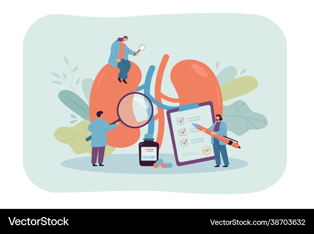 Kidneys Vector Images (over 22,000)
