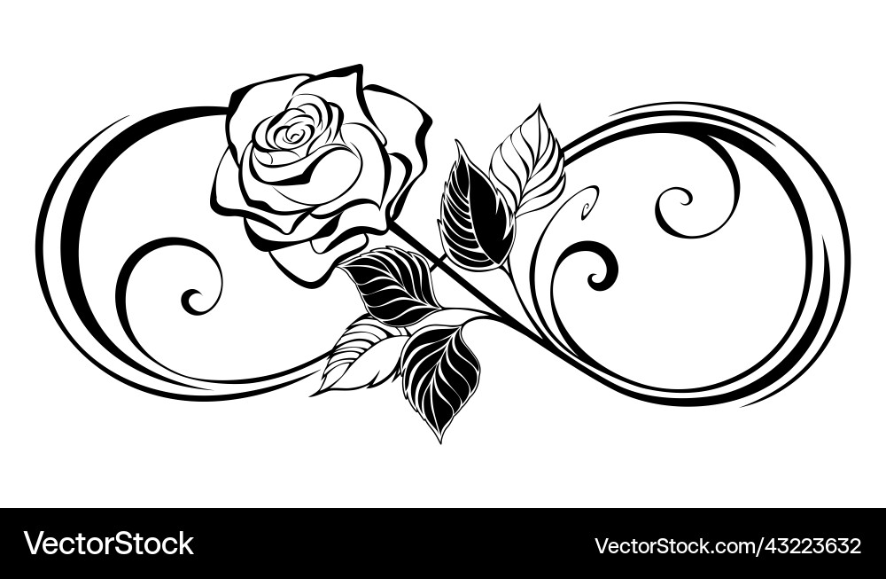Infinity symbol with outline rose Royalty Free Vector Image