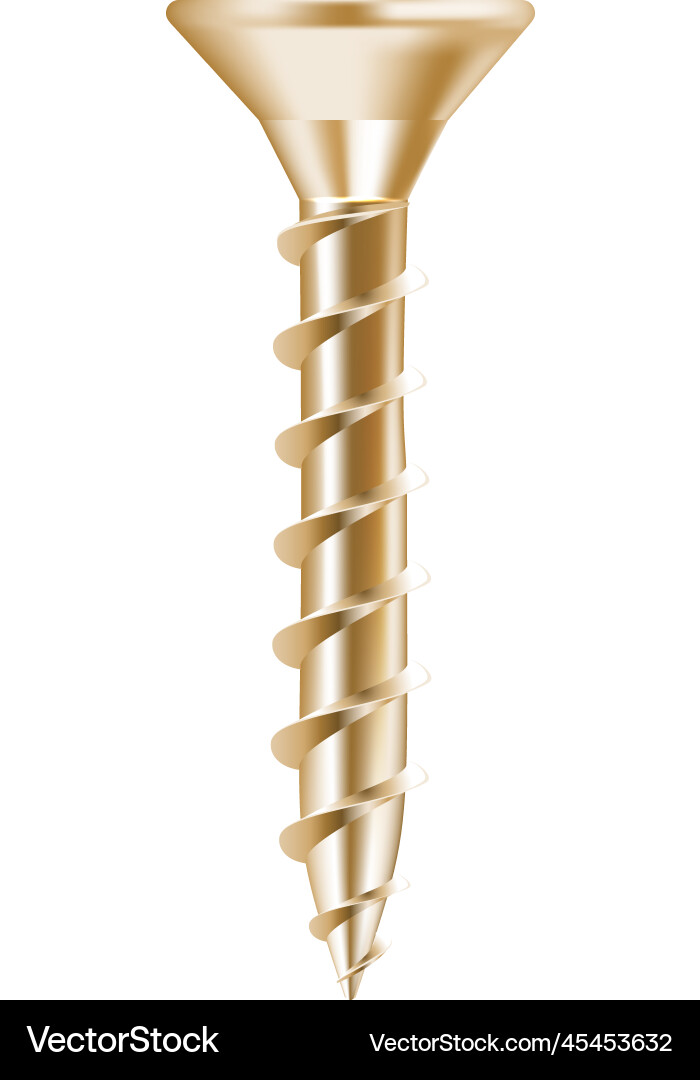 Realistic Golden Screw Royalty Free Vector Image
