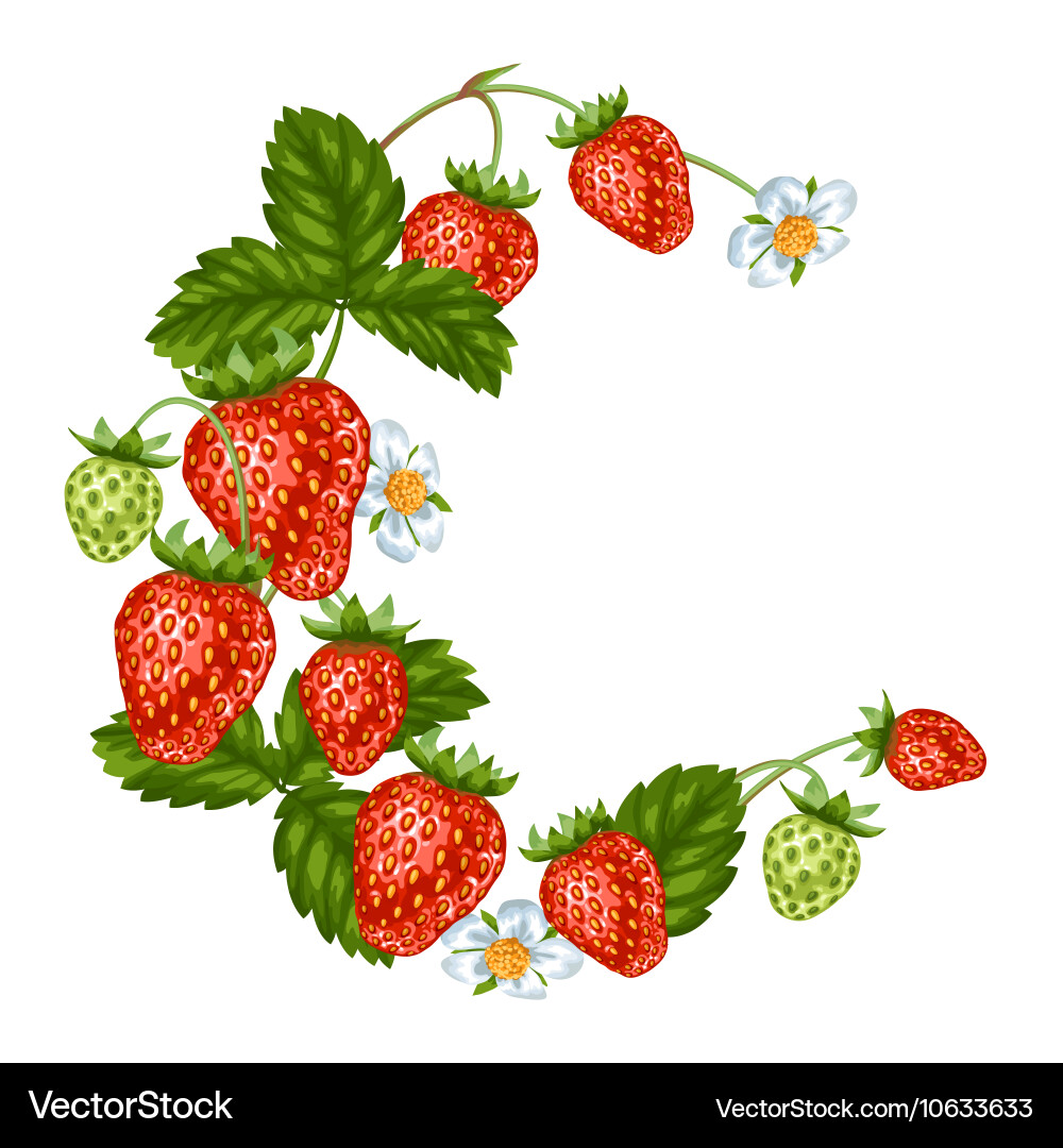 Decorative element with red strawberries Vector Image