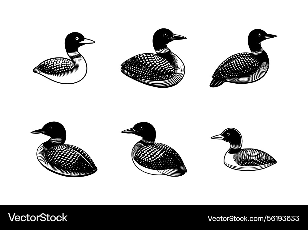 Loon silhouette icon set Royalty Free Vector Image