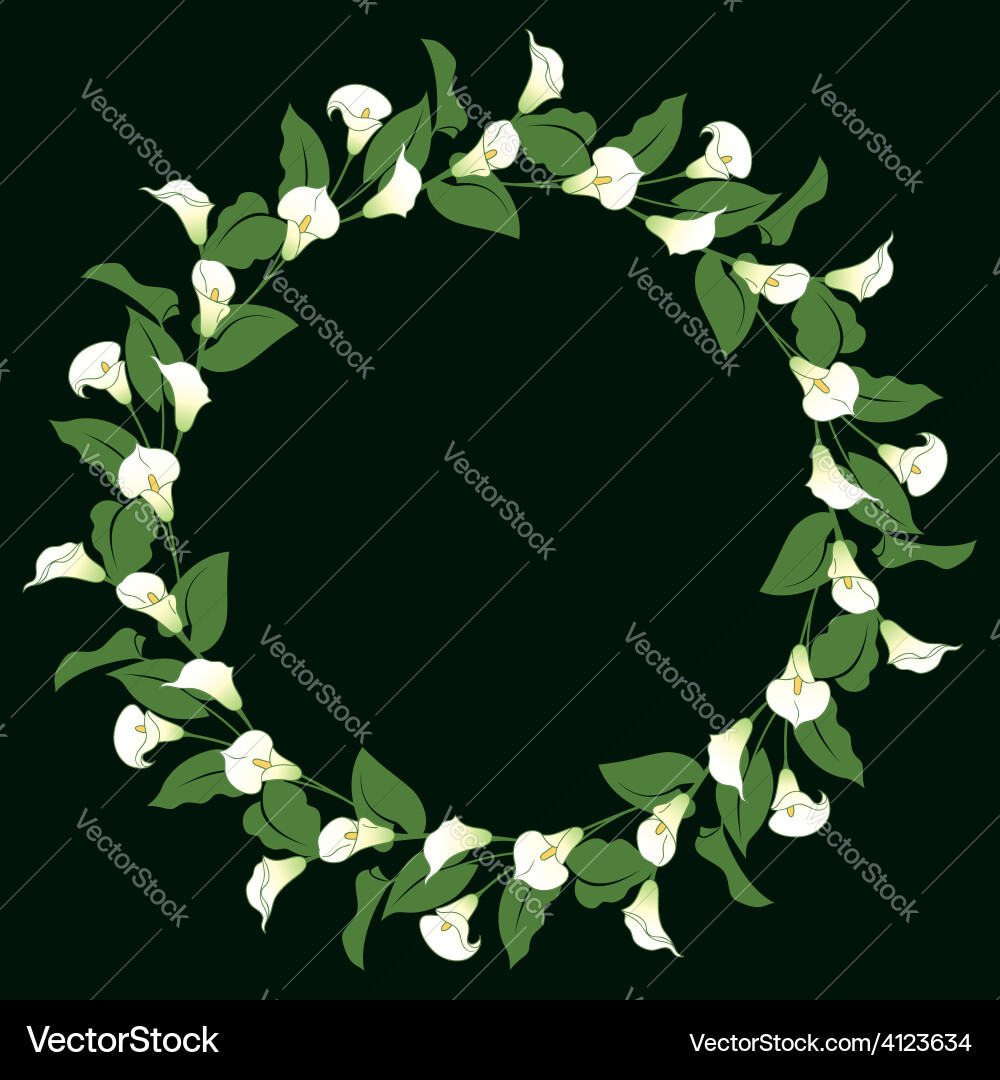 Calla round Royalty Free Vector Image - VectorStock