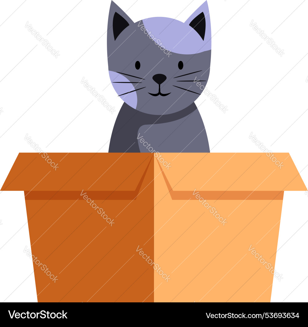 Cute grey cat sitting inside cardboard box Vector Image
