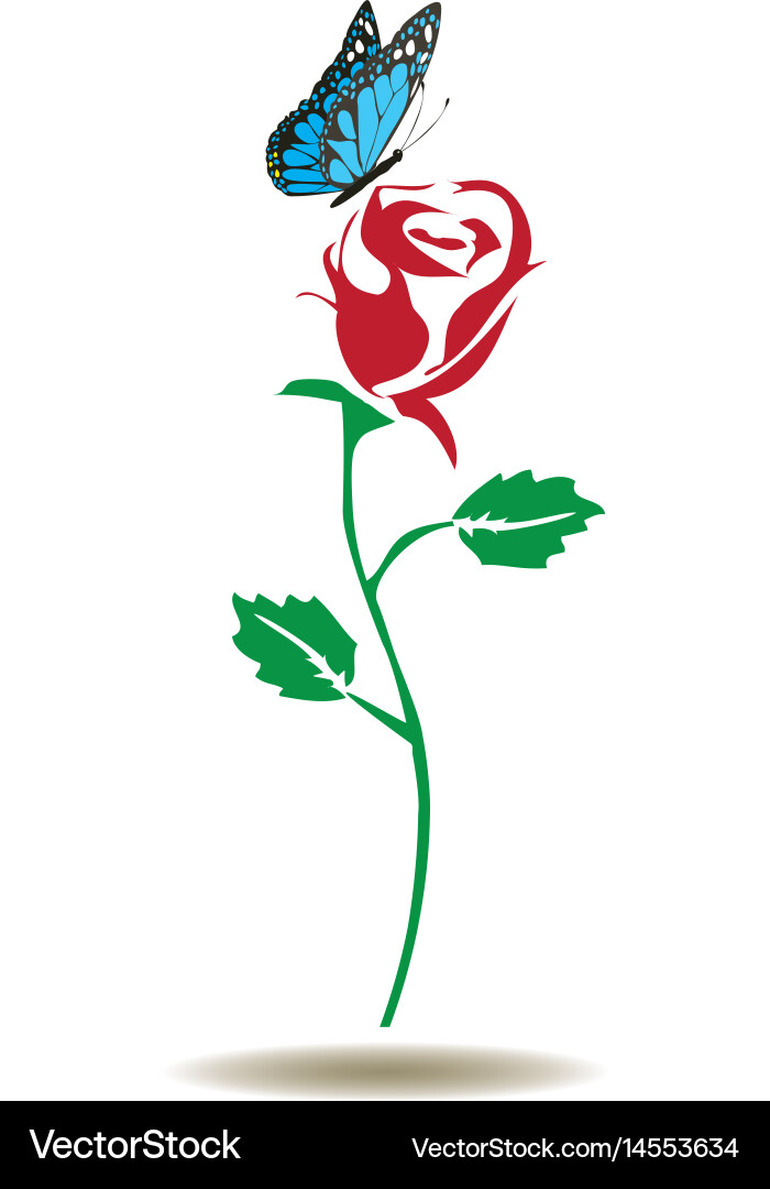 Rose Royalty Free Vector Image - VectorStock