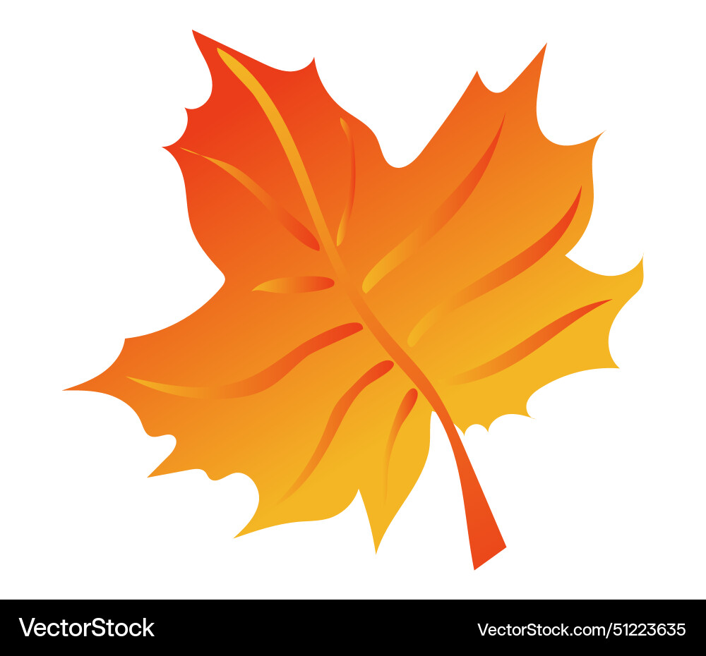 Autumn Orange Maple Leaf With Veins In Flat Design