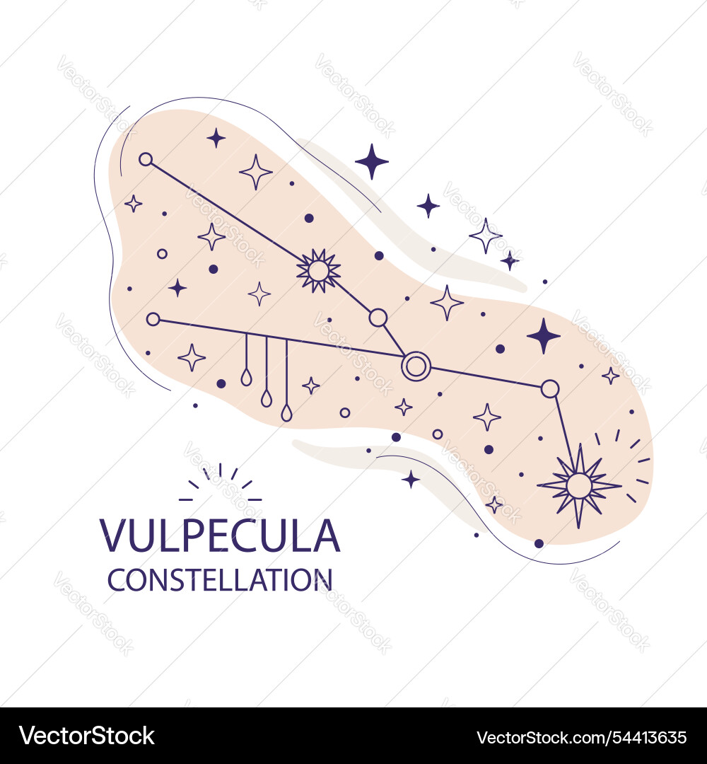 Star constellation vulpecula Royalty Free Vector Image