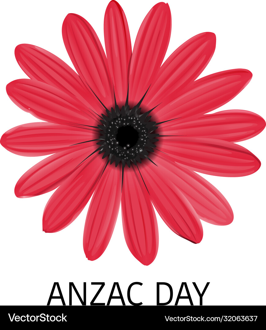 Anzac day on sign white background Royalty Free Vector Image