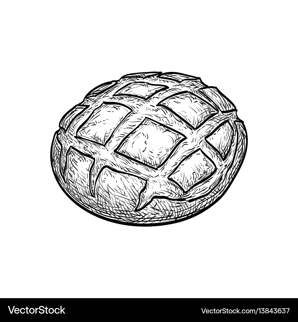 Rustic bread sketch Royalty Free Vector Image - VectorStock