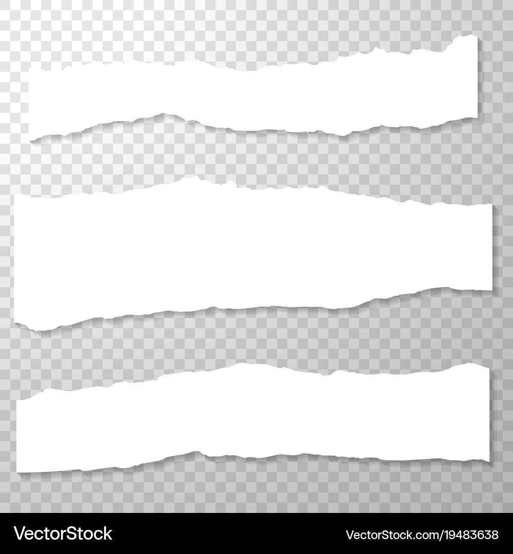 Torn Paper Sheets - White Background Royalty Free Vector