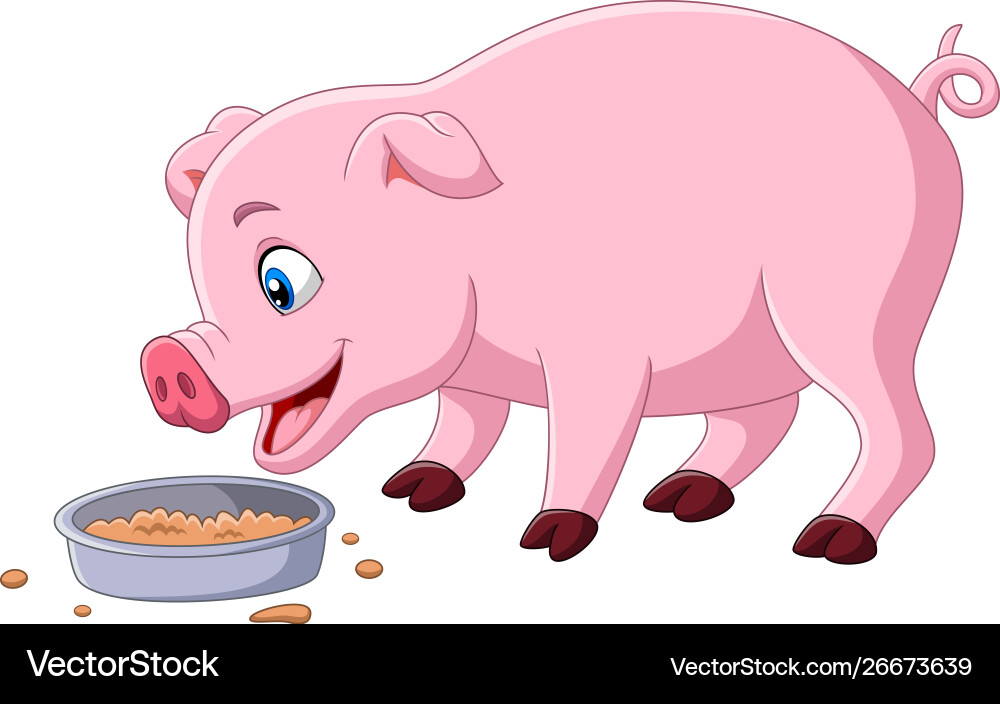 Cartoon pig eating on white background Royalty Free Vector