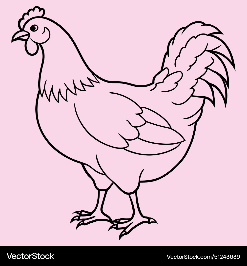 Realistic-appearance-solid-color-friesian-chicken Vector Image