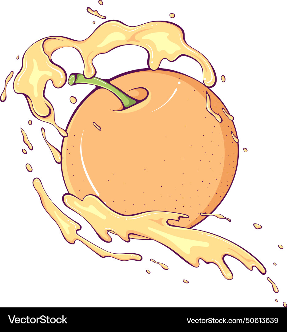 Whole round apple with splash color Royalty Free Vector