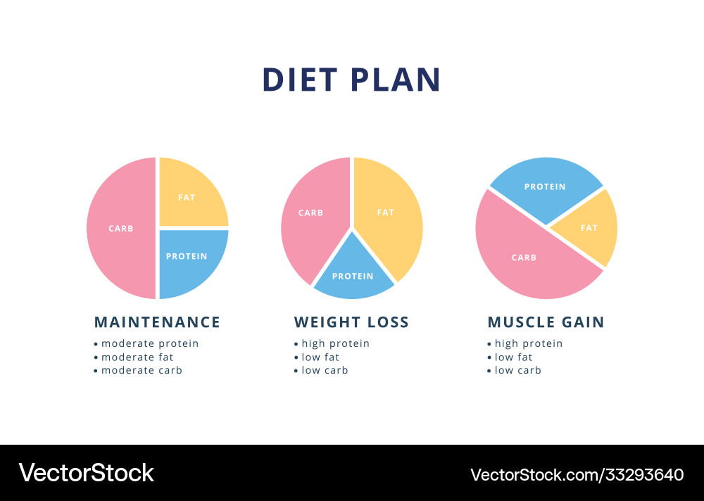 Diet plan set for health and nutrition - pie chart