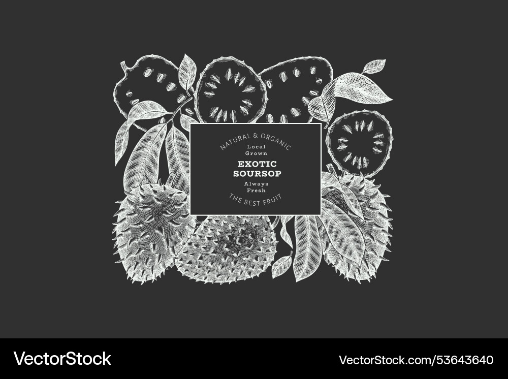 Hand drawn sketch style soursop fruit banner Vector Image