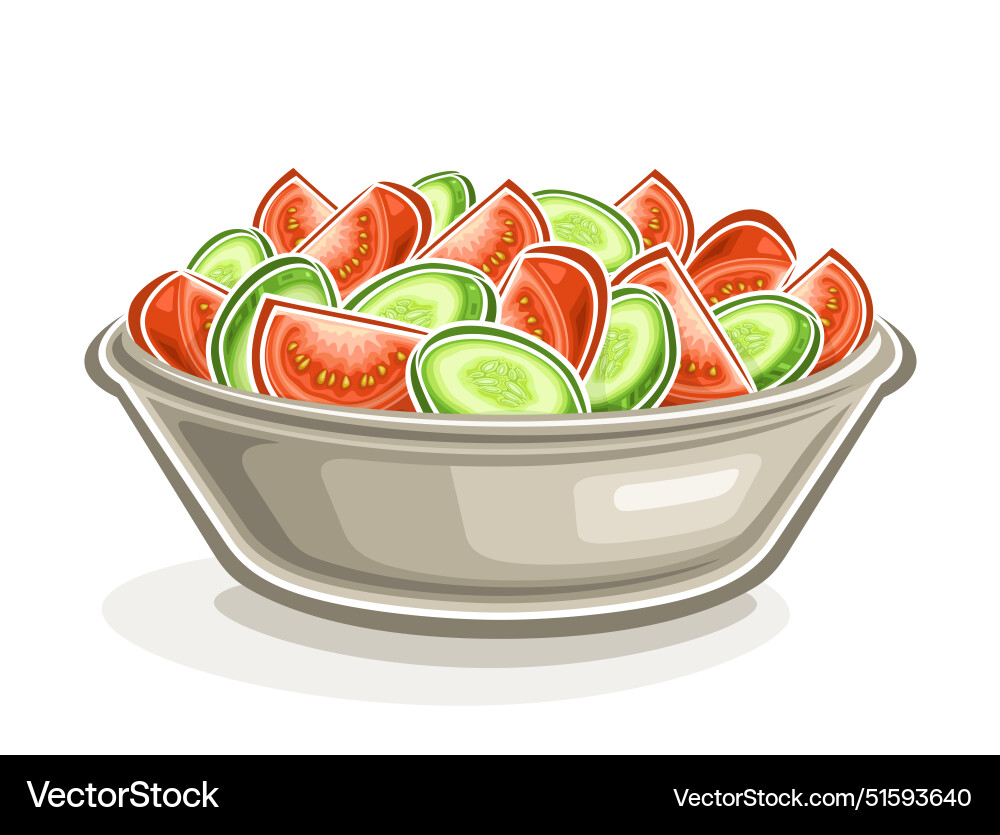 Salad in plate Royalty Free Vector Image - VectorStock