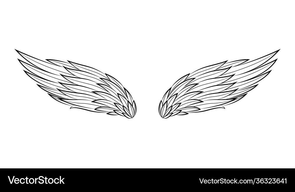 Heraldic Wing Sketch Doodle Royalty Free Vector Image