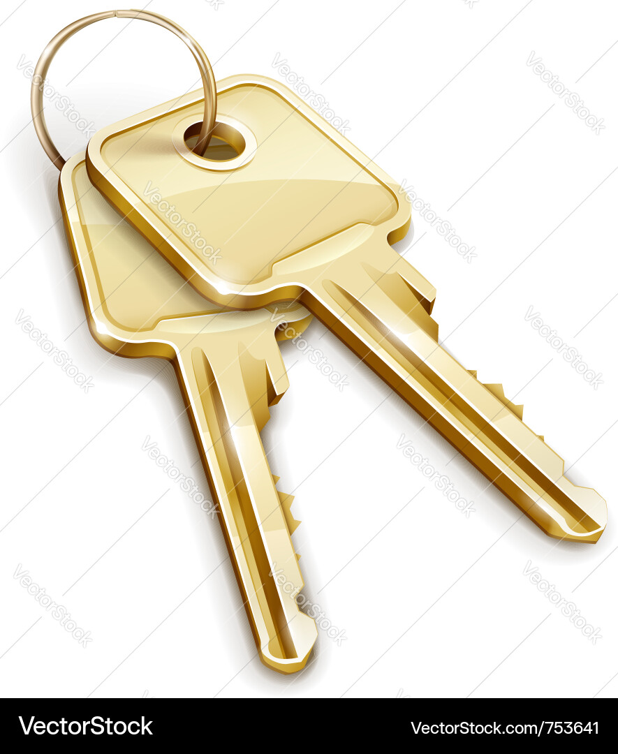 Sheaf of gold keys Royalty Free Vector Image - VectorStock