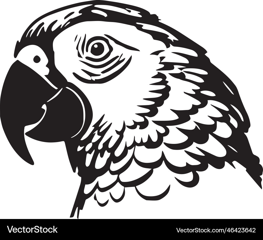Parrot head svg Royalty Free Vector Image - VectorStock