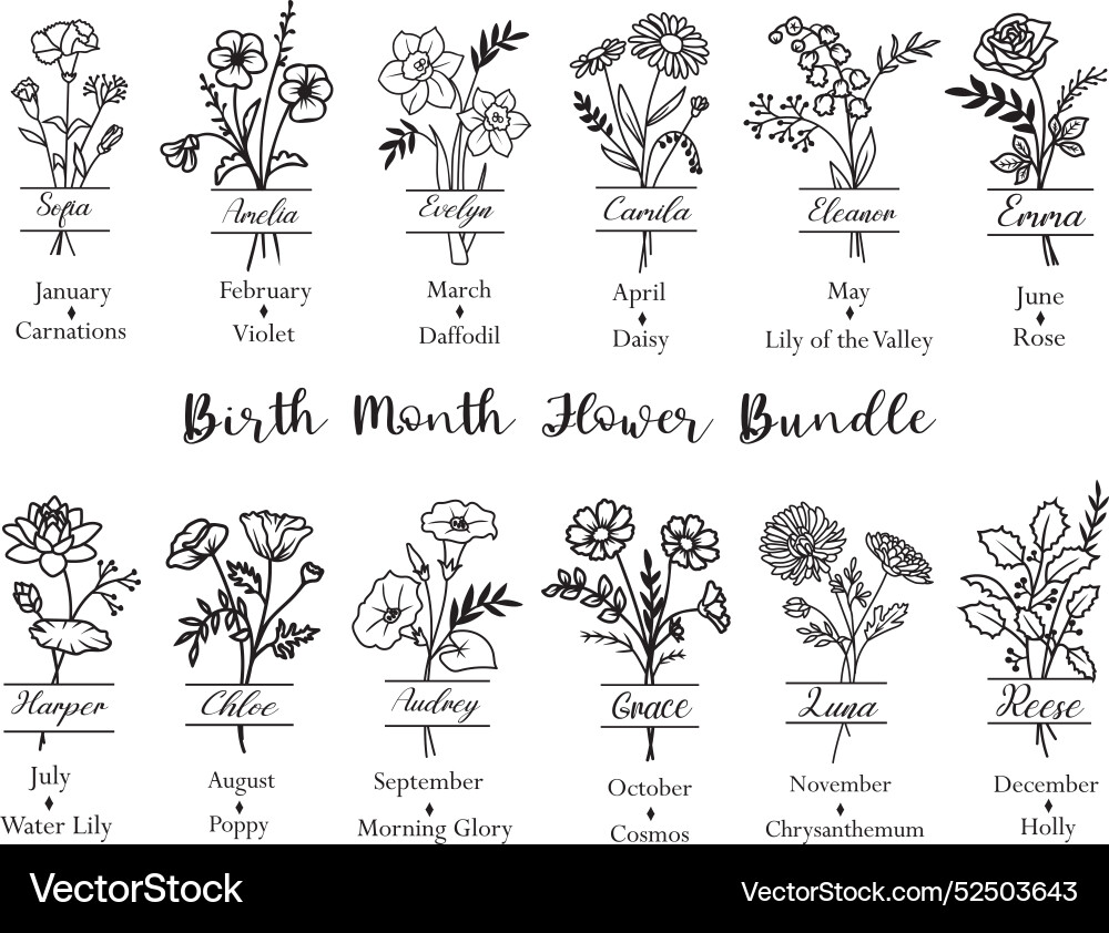Birth flower Royalty Free Vector Image - VectorStock