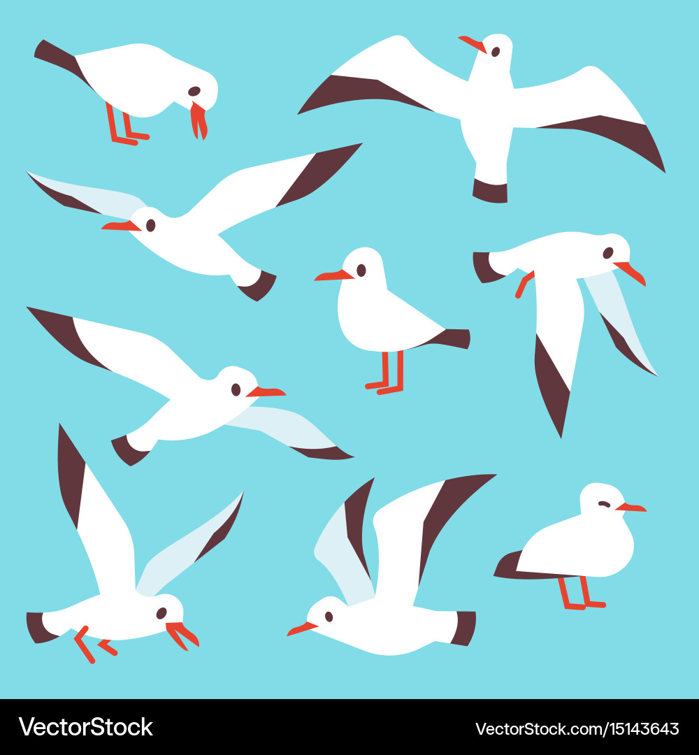 Cartoon atlantic seabird seagulls flying in blue Vector Image
