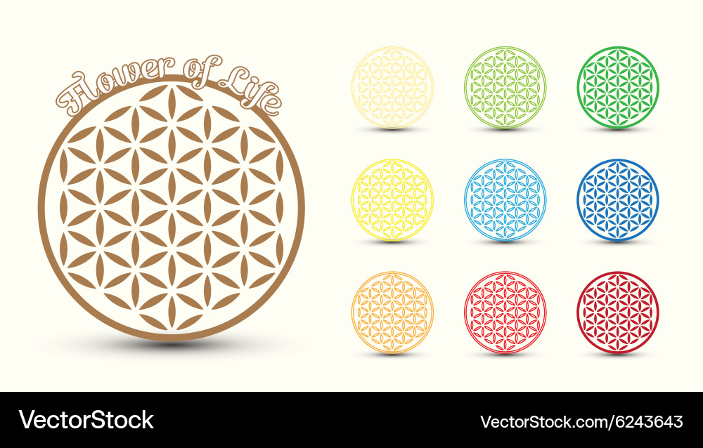 Flower of life Royalty Free Vector Image - VectorStock