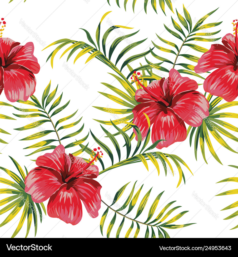 Hibiscus drawing pattern Royalty Free Vector Image