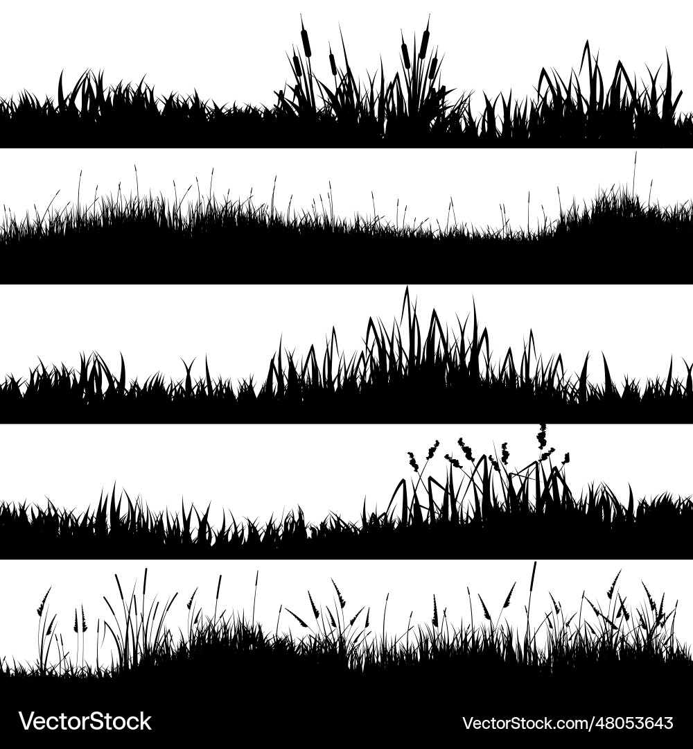 Meadow silhouettes with grass plants on plain Vector Image