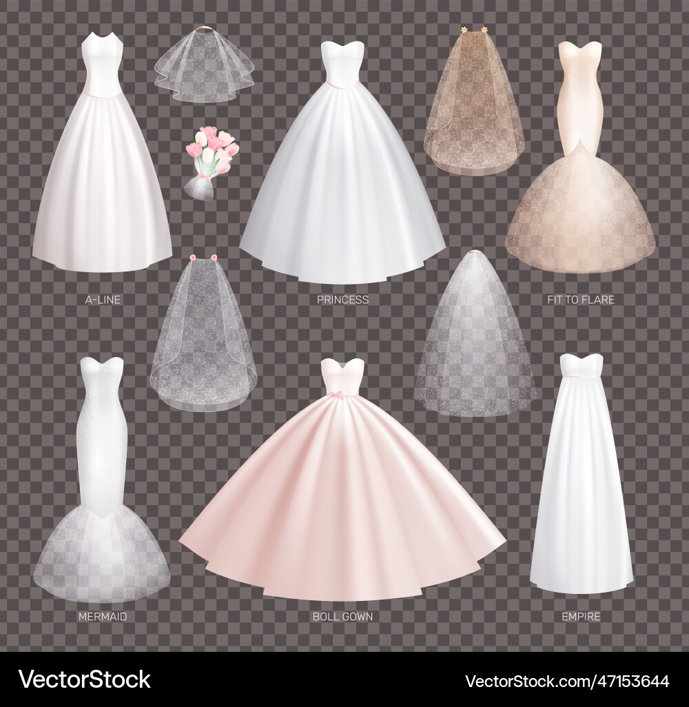 Bride wedding dress set Royalty Free Vector Image