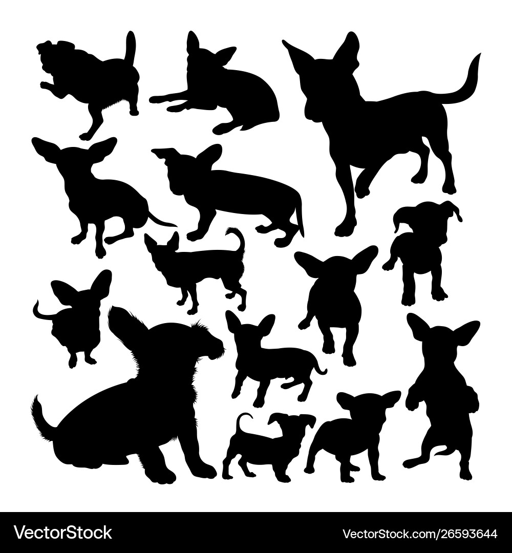 Chiweenie dog animal silhouettes Royalty Free Vector Image