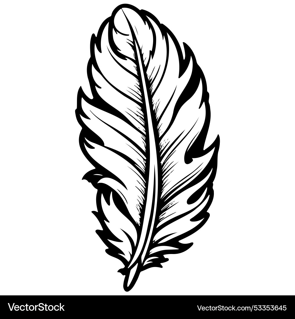 Cartoon feather drawing black line isolated Vector Image