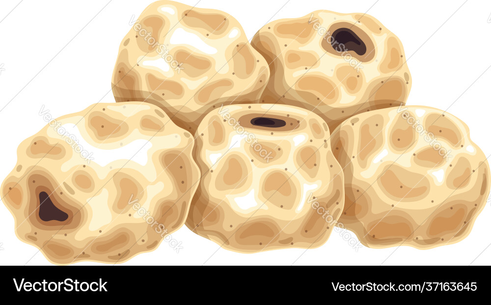 Tiger Nuts Vector Images (68)