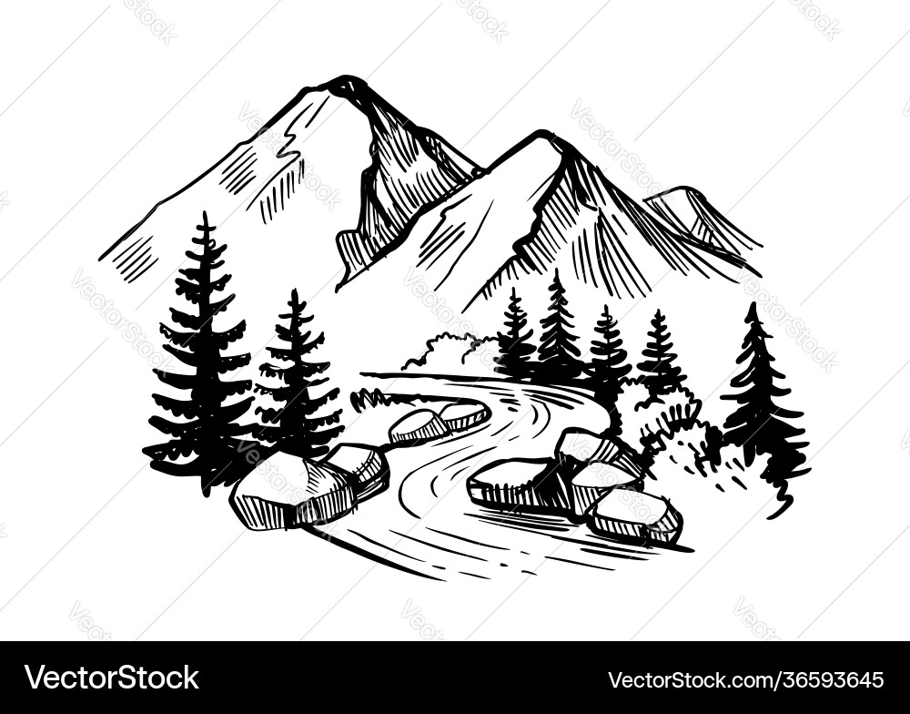 Mountain landscape with firs river and stones Vector Image
