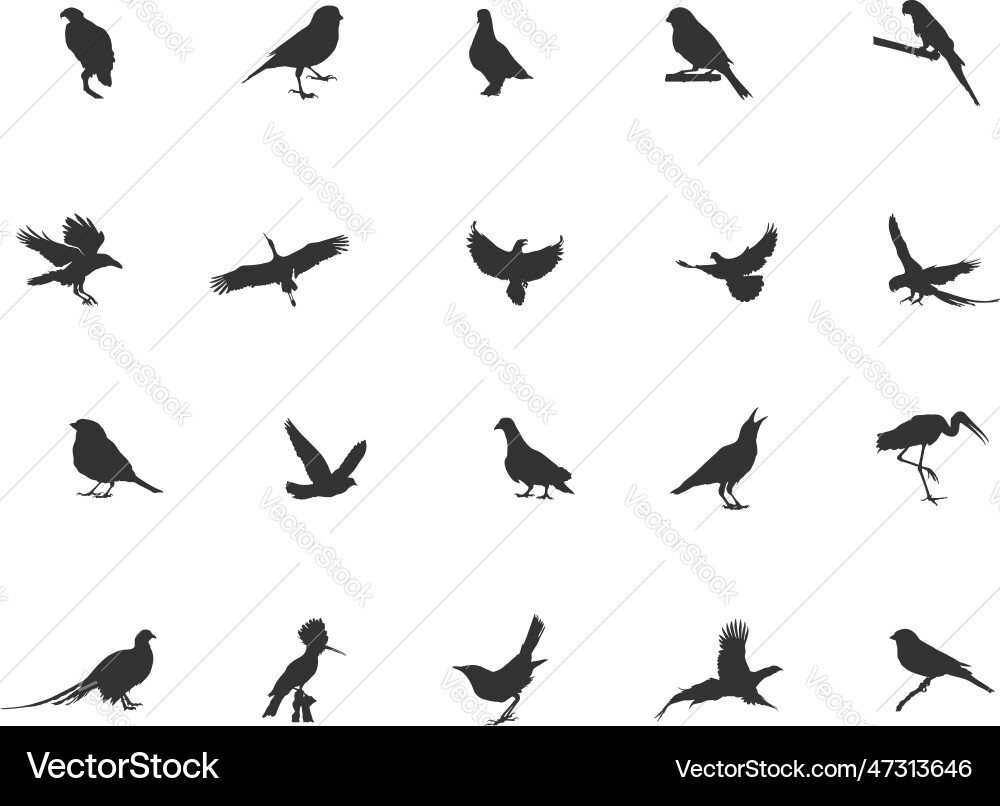 Bird silhouette flying svg Royalty Free Vector Image