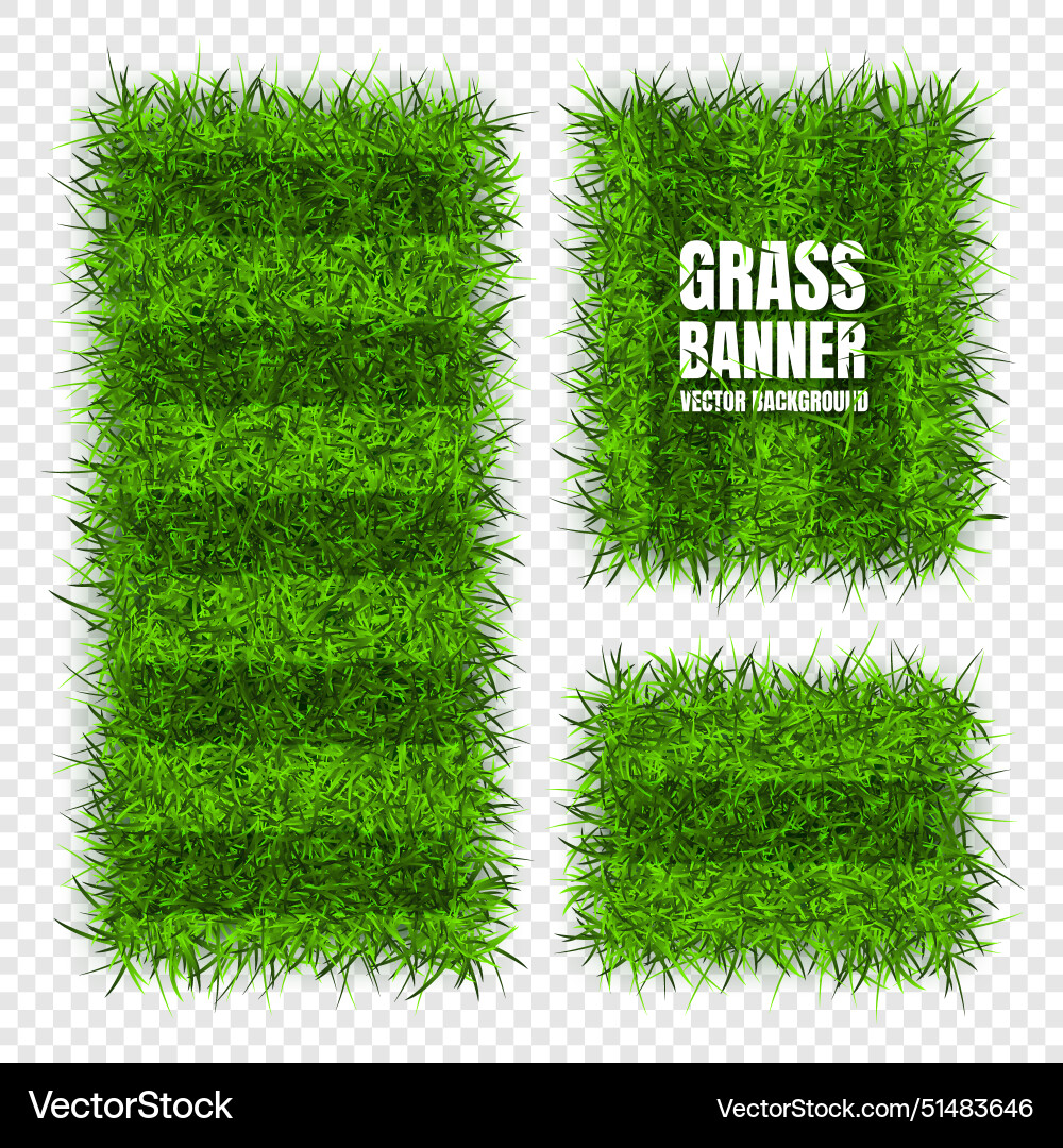 Green grass banners background field meadow Vector Image