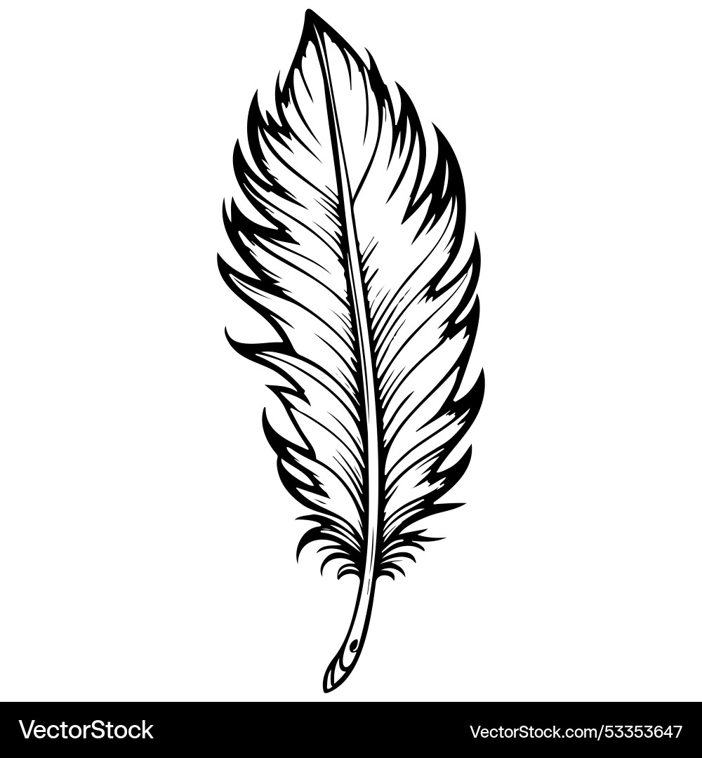 Cartoon feather drawing realistic hand Royalty Free Vector