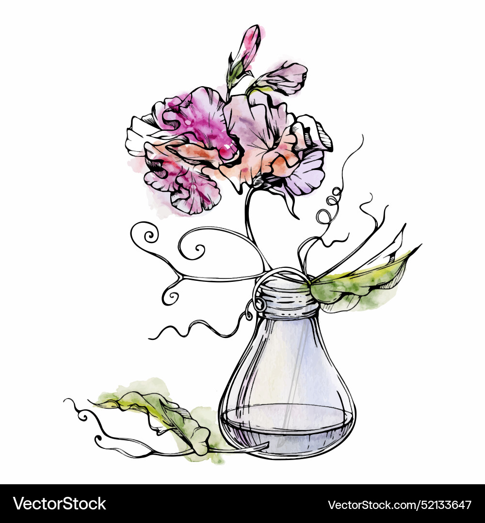 Hand drawn watercolor ink botanical flowers Vector Image