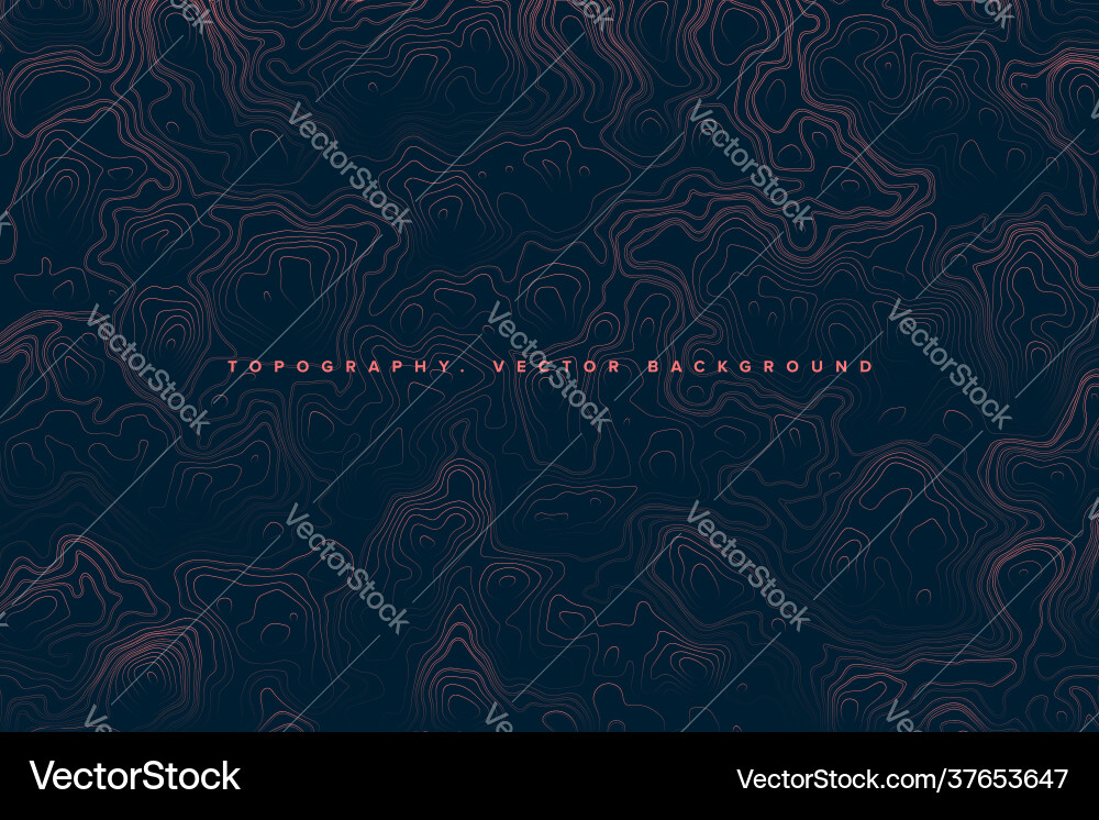 Red and blue topographic detailed contour map Vector Image