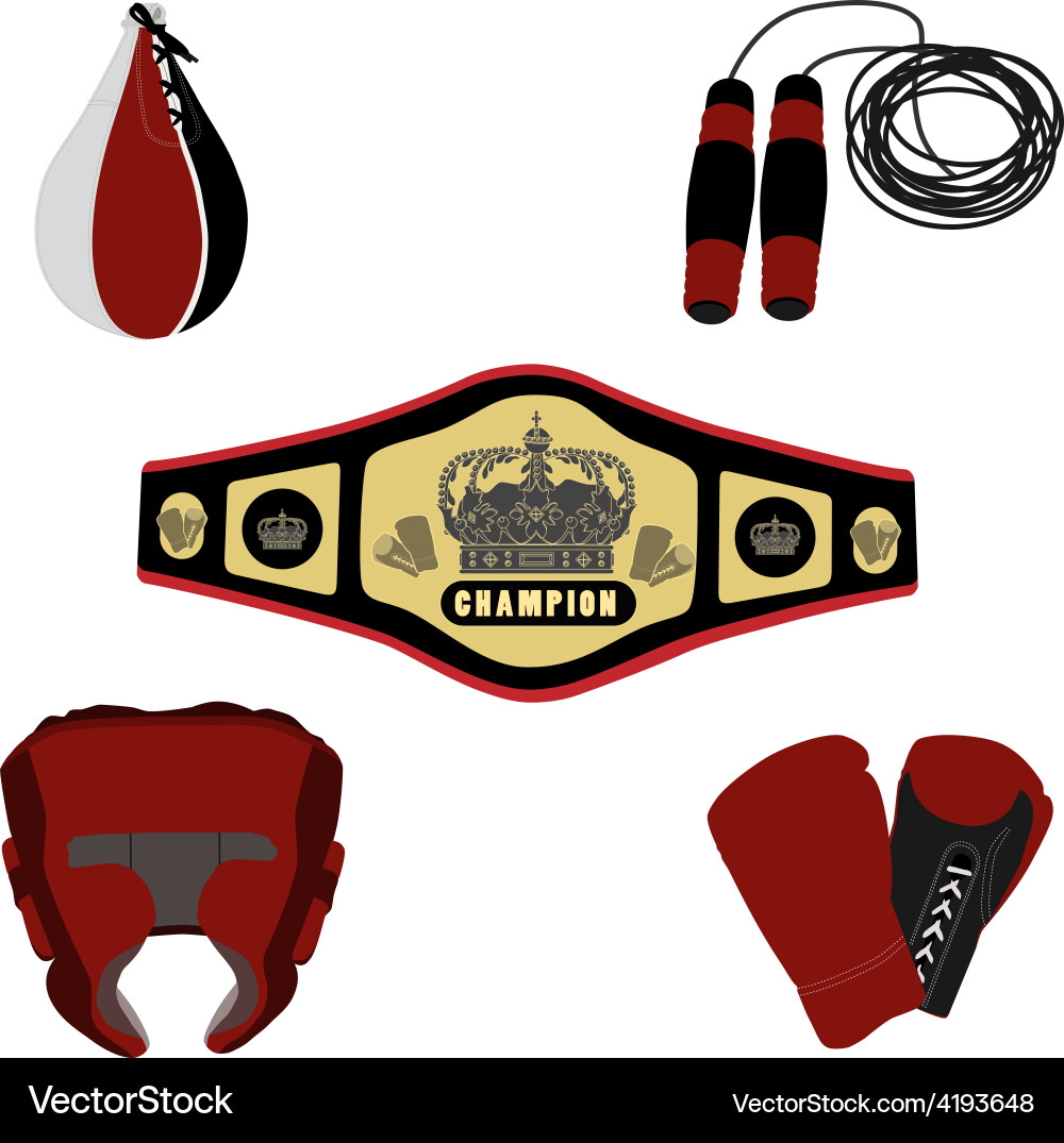 Boxing set Royalty Free Vector Image - VectorStock