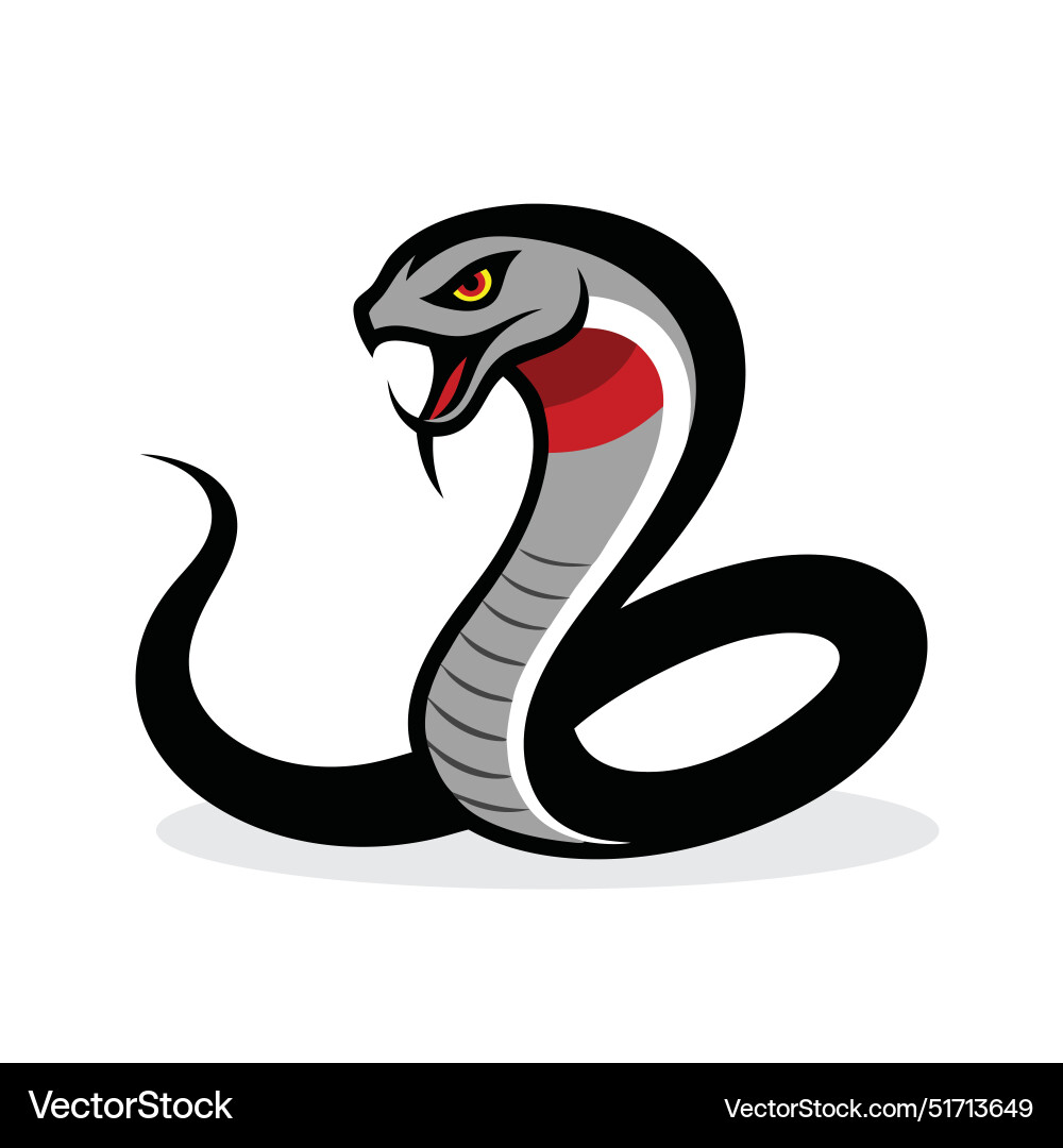 Cobra animal isolated flat on white background Vector Image