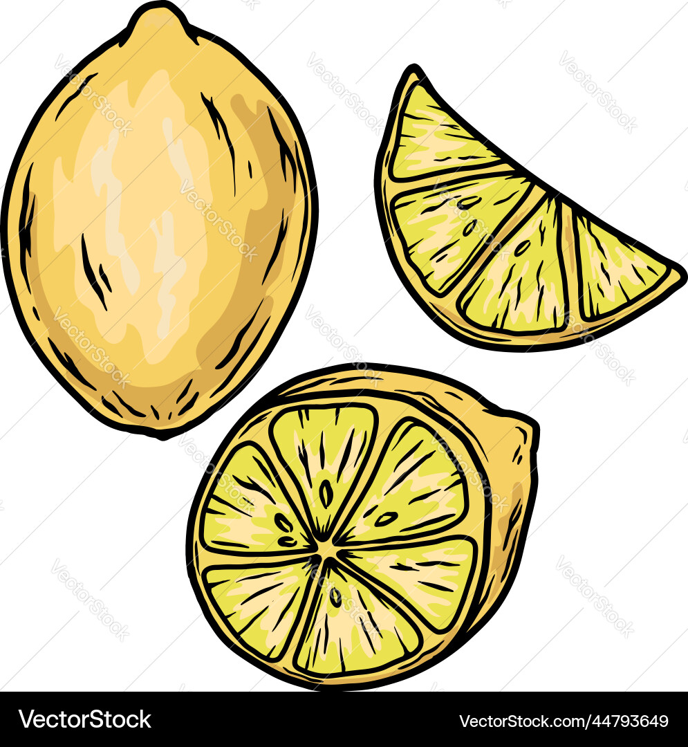 Lemon tropical fruits design element for poster Vector Image