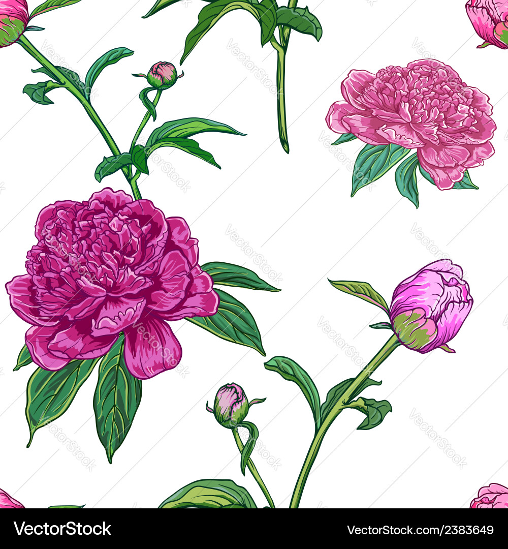Vintage floral seamless pattern with peonies Vector Image